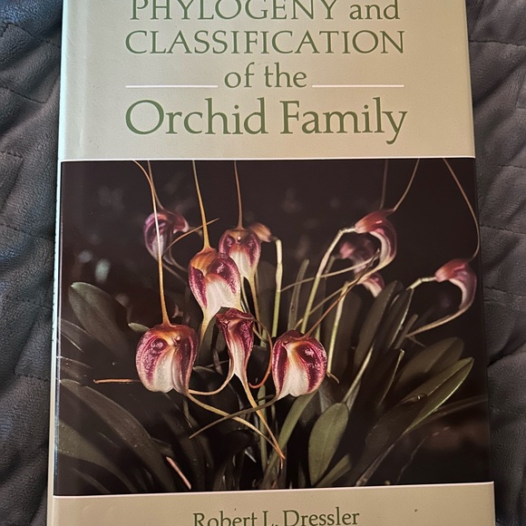 Other | Phylogeny And Classification Of The Orchid Familyorchid ...